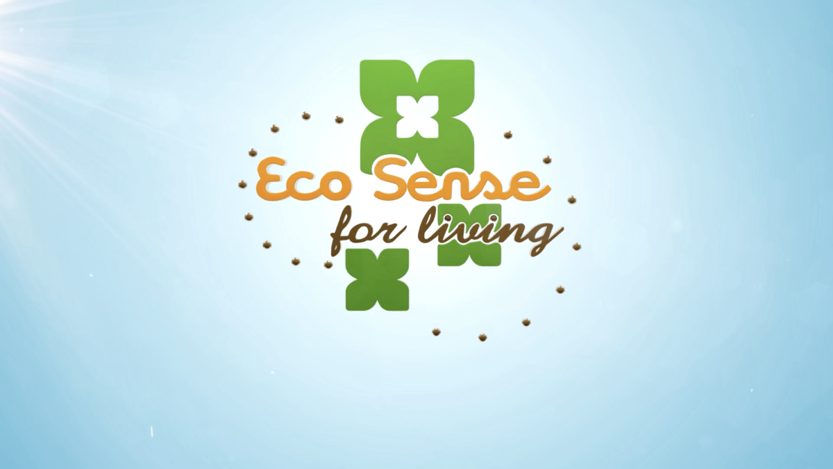 April 2024 Peralta TV Highlights