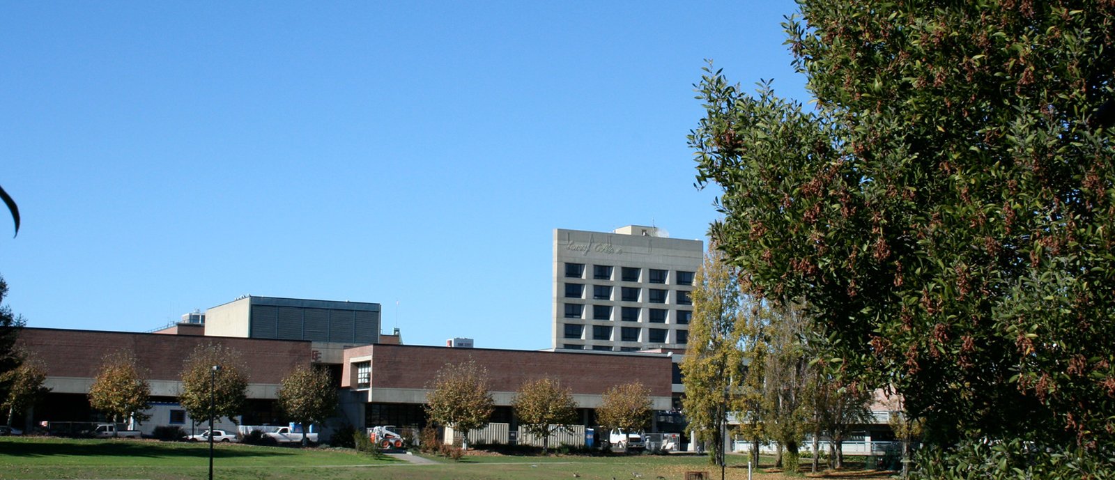 Completion and Publishing of Guided Pathways Maps at Laney